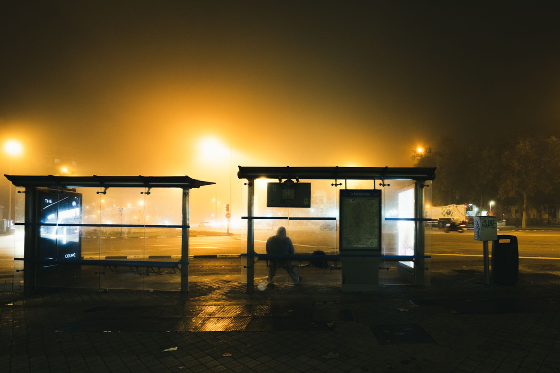 Cómo hacer fotos a contraluz: guía para principiantes | hofmann